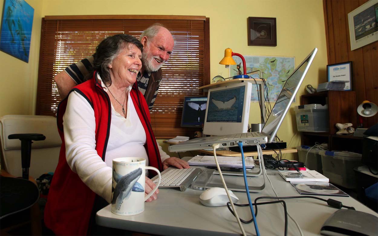 Introducing Dr. Wally and Dr. Trish Franklin Humpback Whale Migration ...