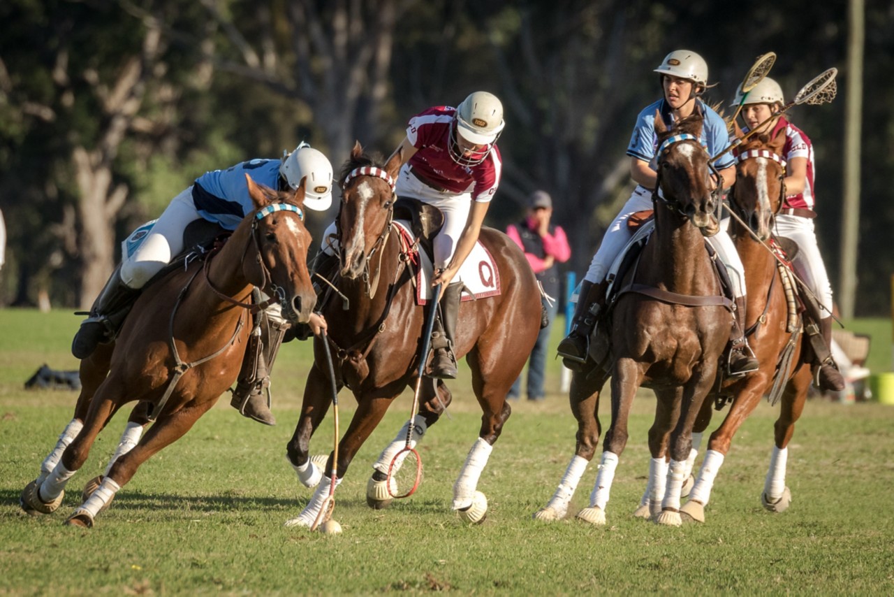 Polocrosse World Cup delivers windfall for Warwick economy