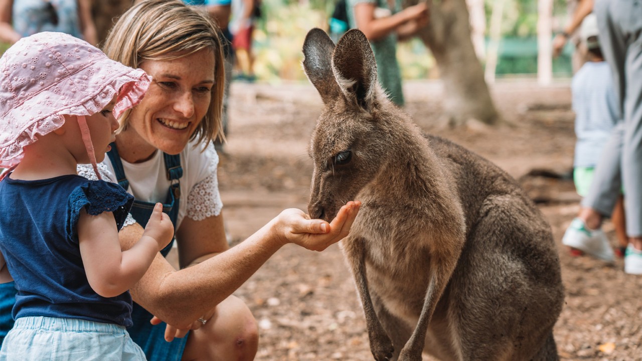 Queensland nature & wildlife | Tourism and Events Queensland