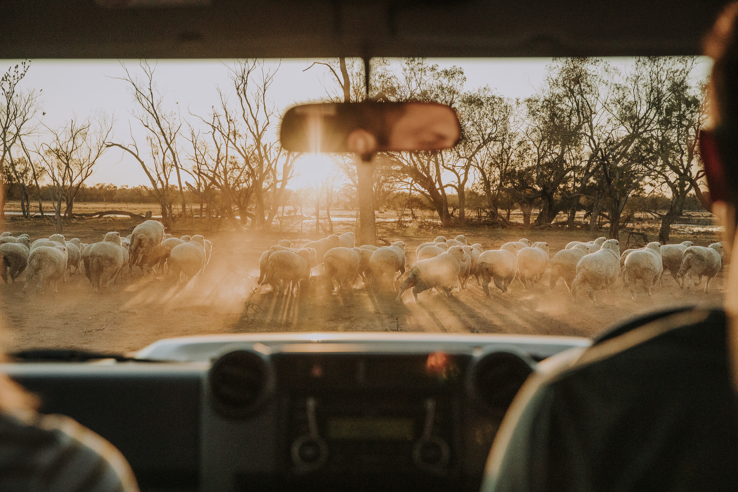 Outback Queensland Self Drive