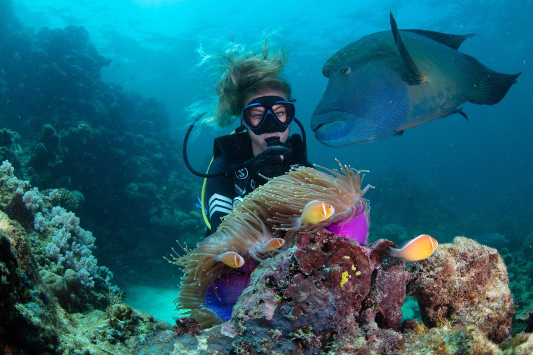 Great Barrier Reef Resources | Tourism and Events Queensland