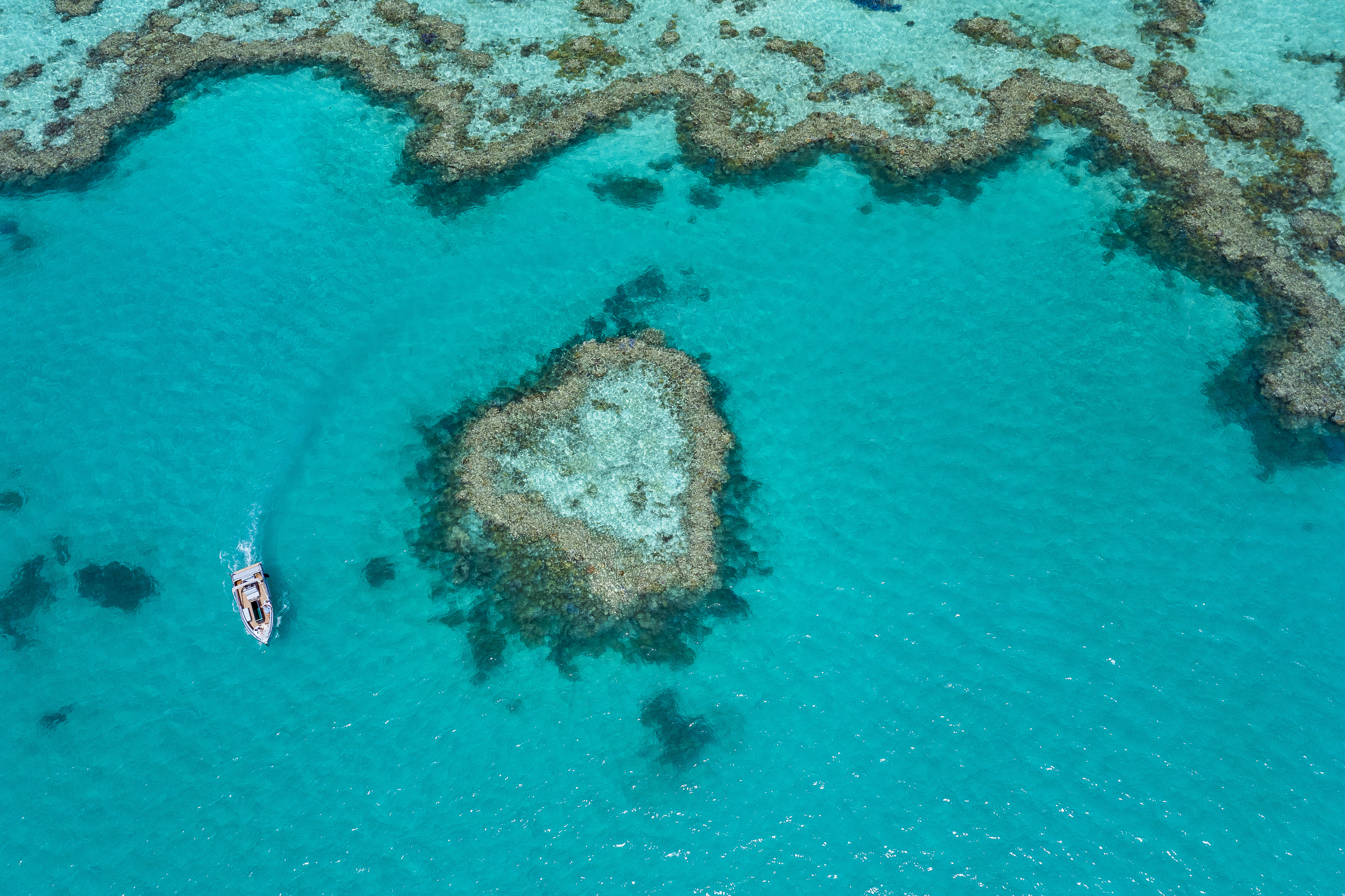 Great Barrier Reef Resources | Tourism and Events Queensland